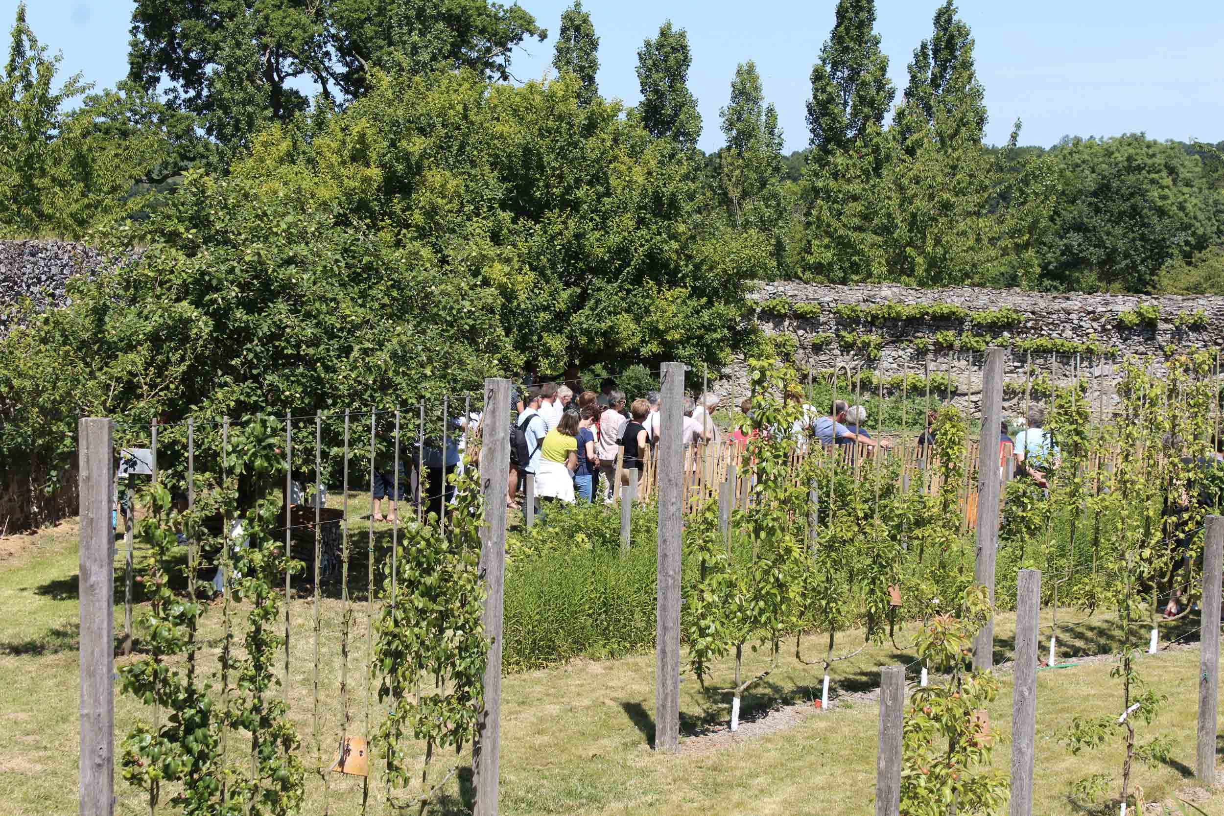 public dans le verger - Château de la Baronnière